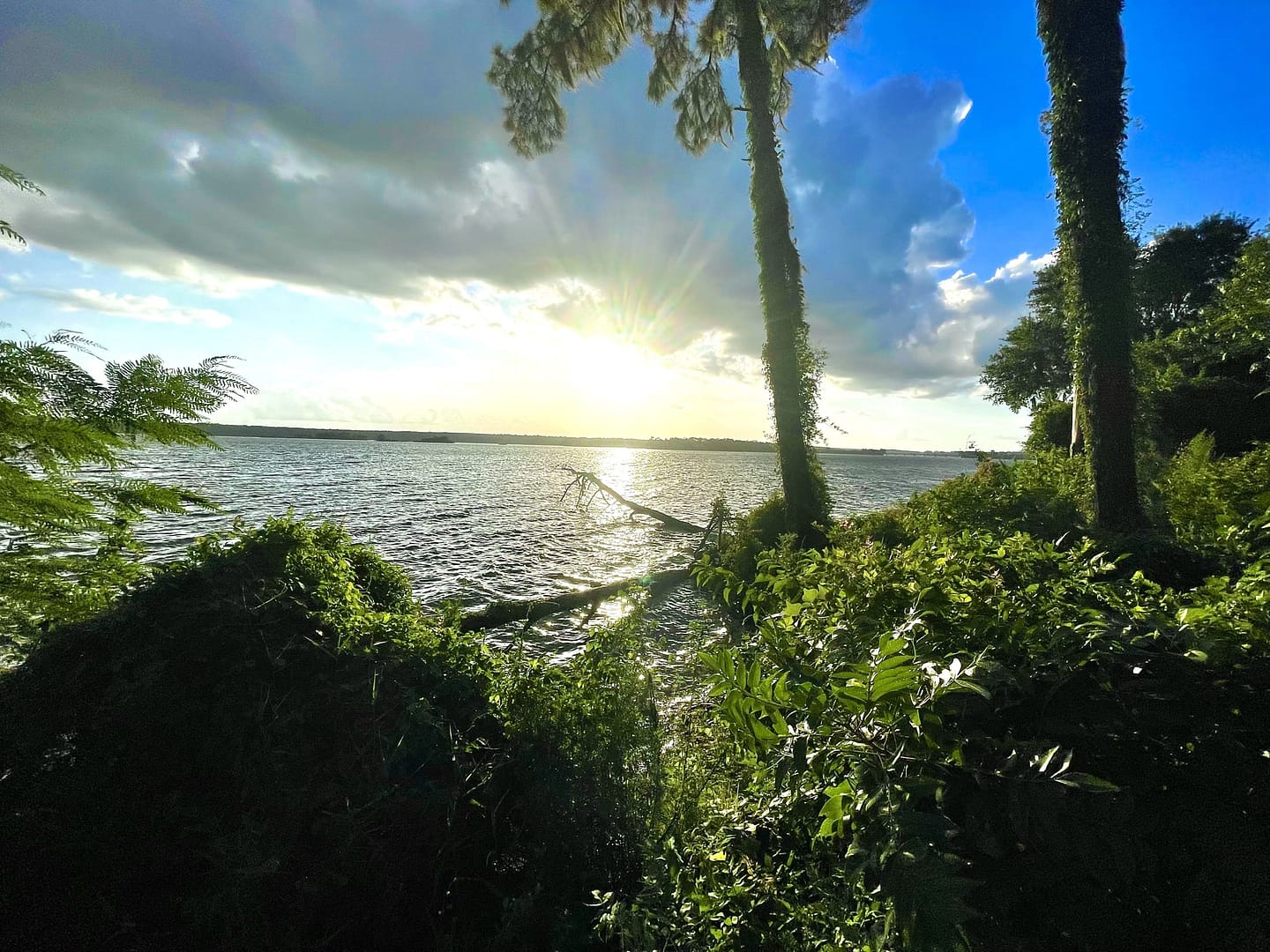 The Best Neighborhoods Of Lake Conroe